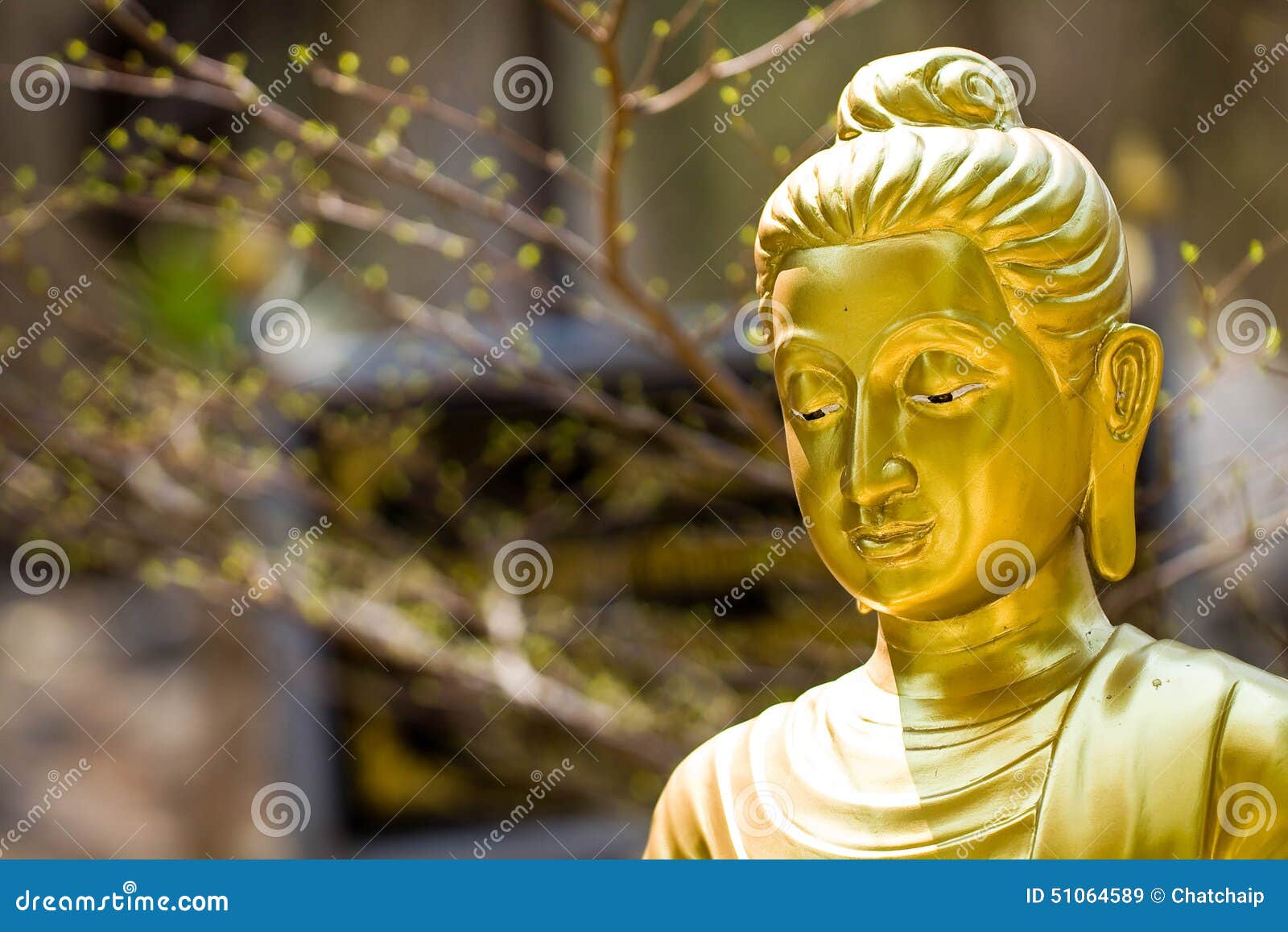 Portret Van Het Standbeeld Van Boedha Stock Afbeelding - Image of ...