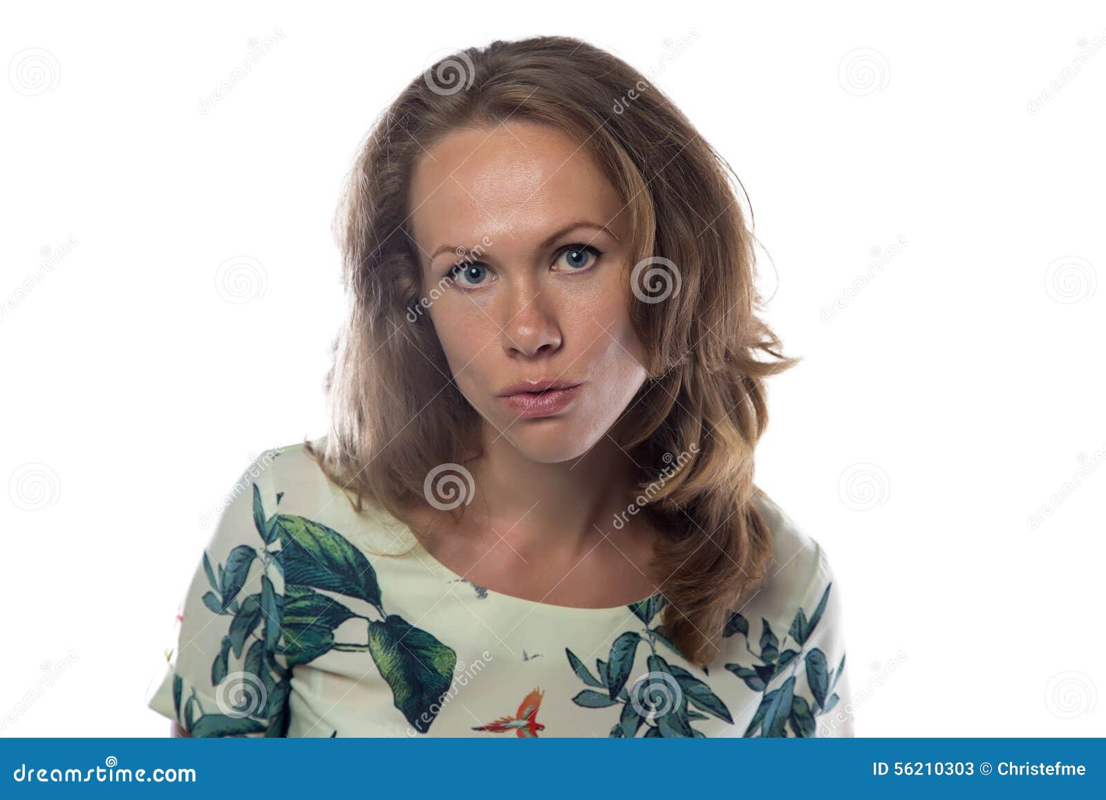 Portret Van Leuke Vrouw Met Lichtbruin Haar Stock Afbeelding - Image of ...