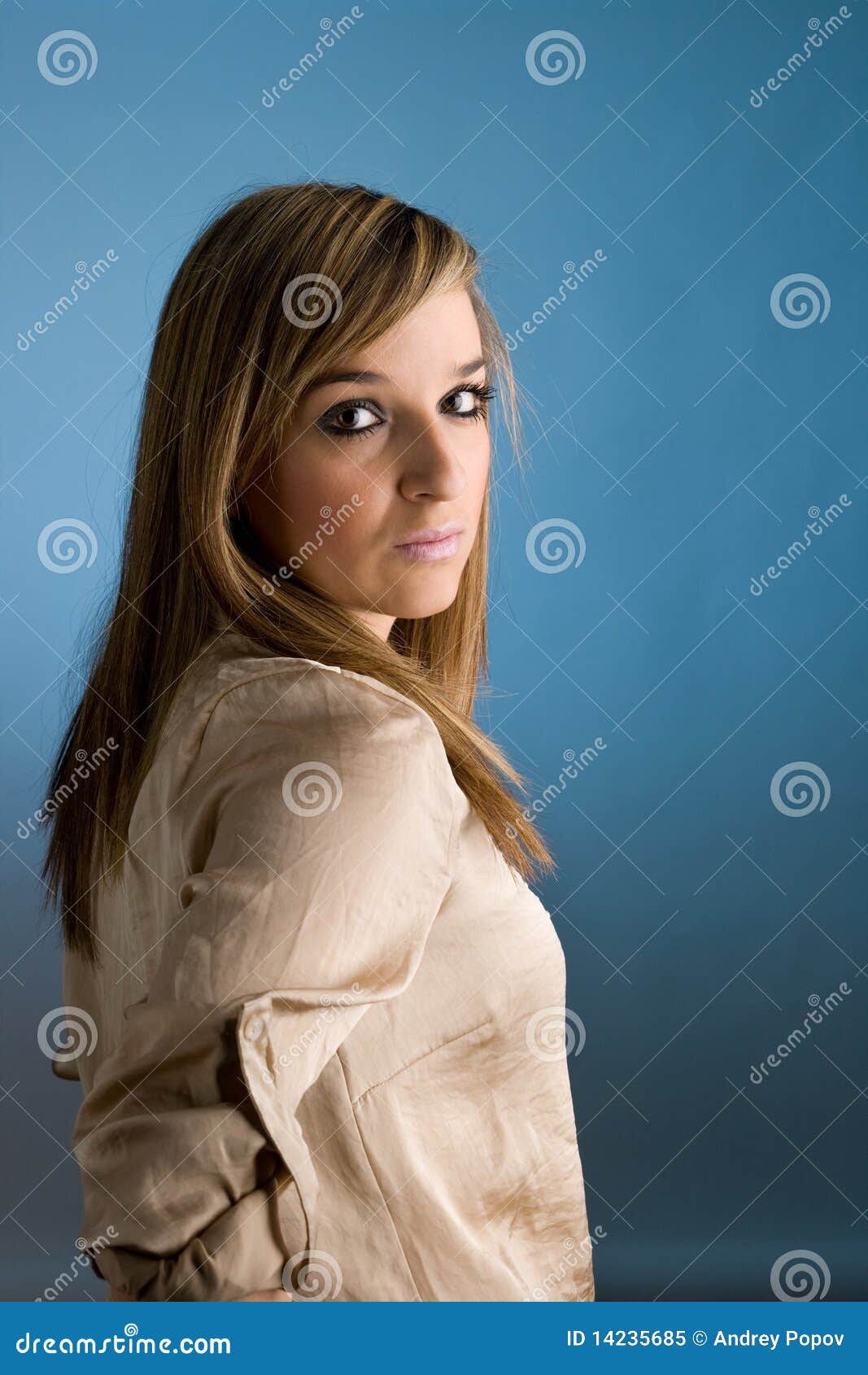 Portret van mooie dame stock afbeelding. Image of uitziend - 14235685