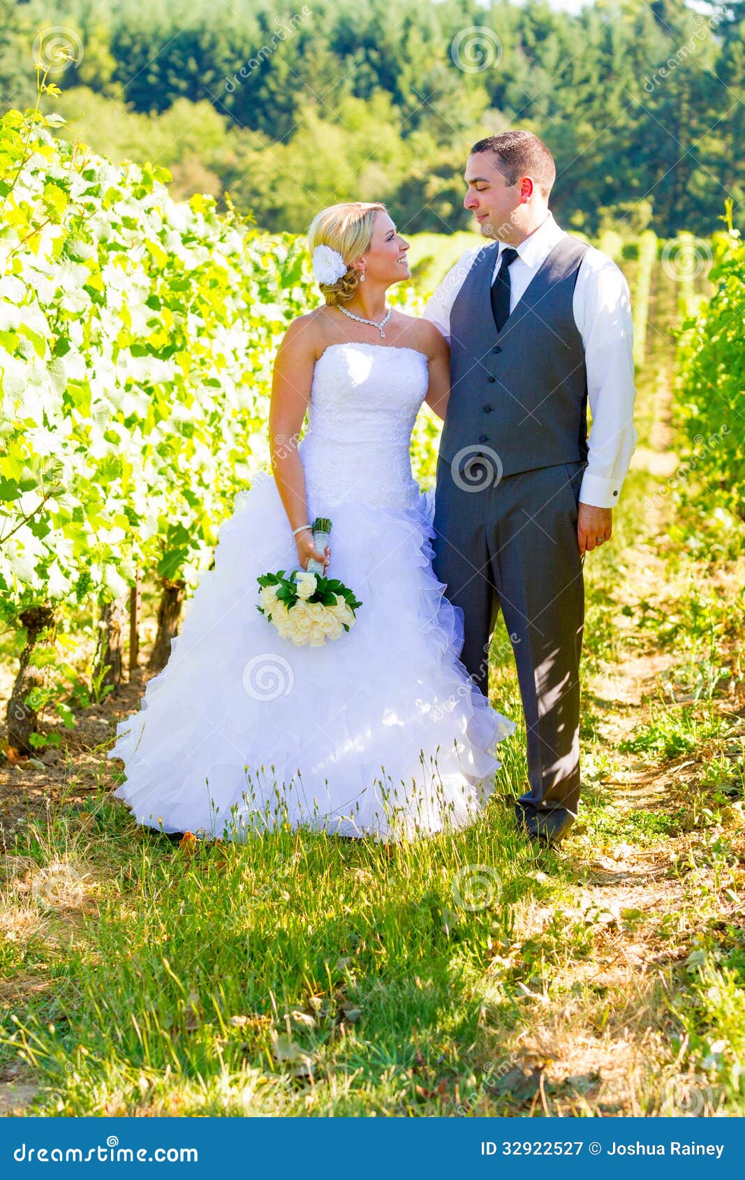 Portretten Van Bruid En Bruidegom Stock Afbeelding - Image of grijs ...