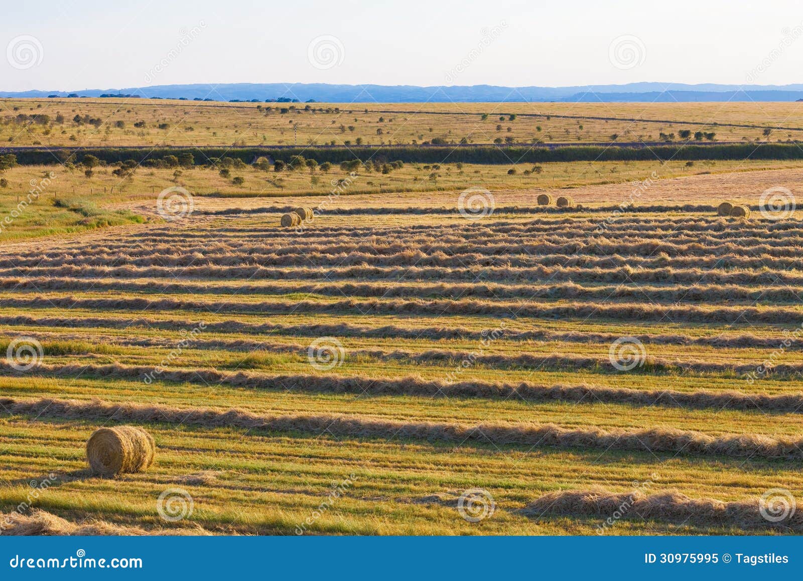 Portugal - Agriculture stock image. Image of intact, highway - 30975995