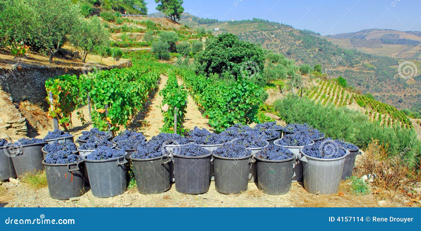 Douro Valley, Hydrographic Basin Of The Varosa Dam Royalty-Free Stock ...