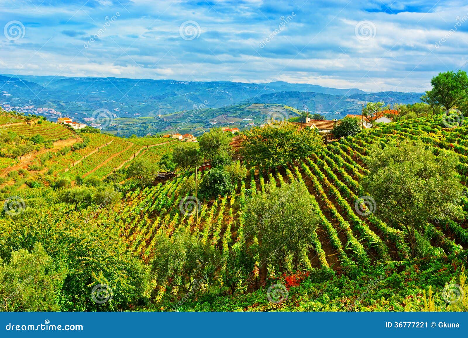 Portugal stock image. Image of ground, landscape, house - 36777221