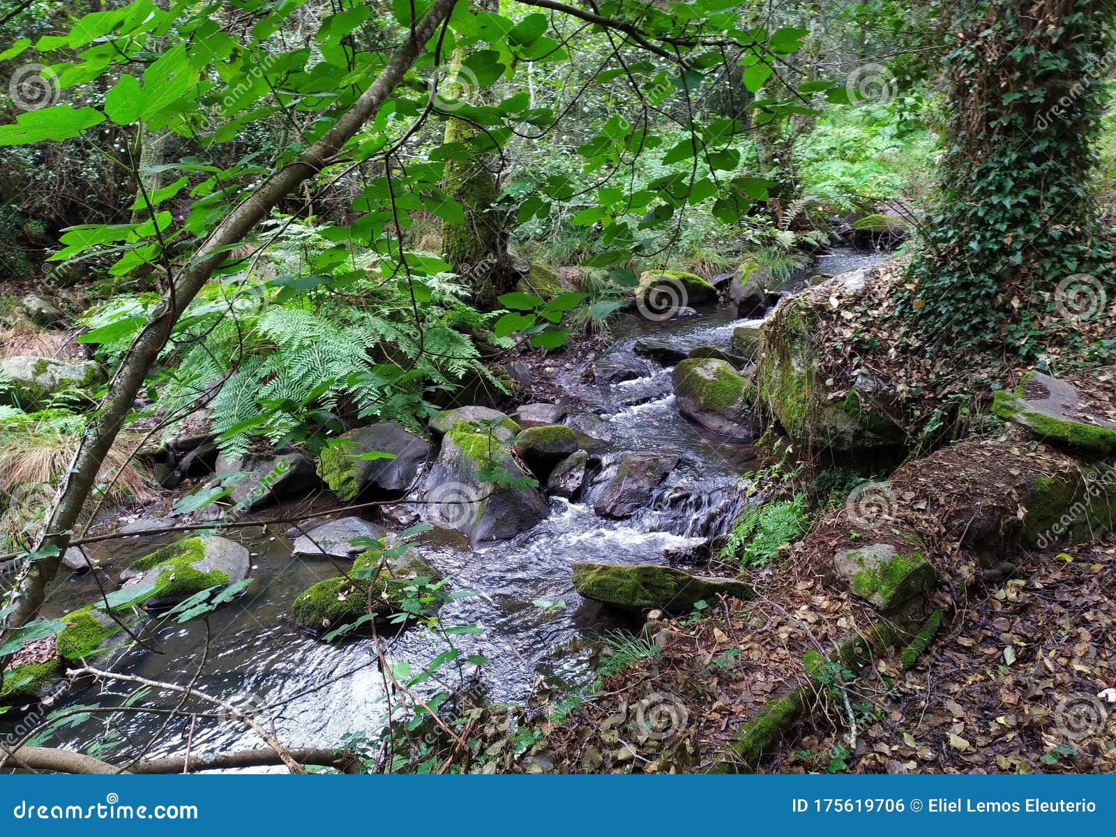 Portuguese autumn stock photo. Image of river, portuguese - 175619706