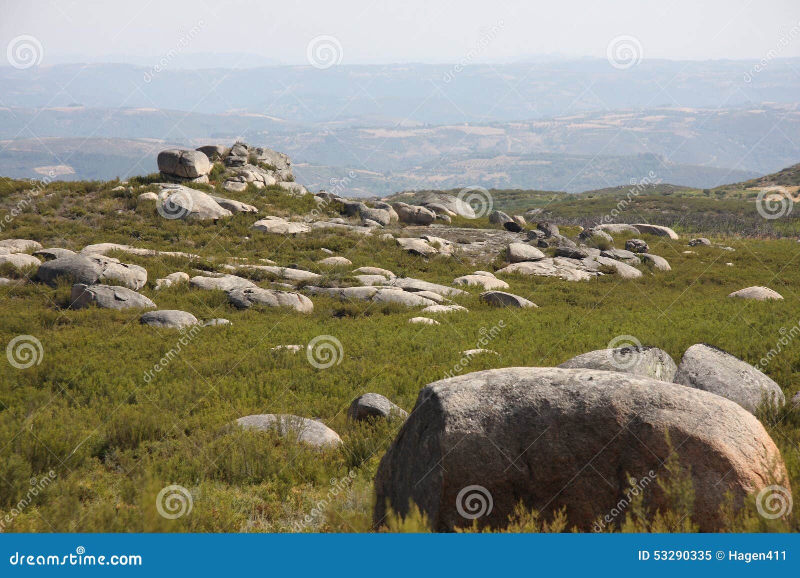 Portuguese Countryside stock image. Image of north, pasturage - 53290335
