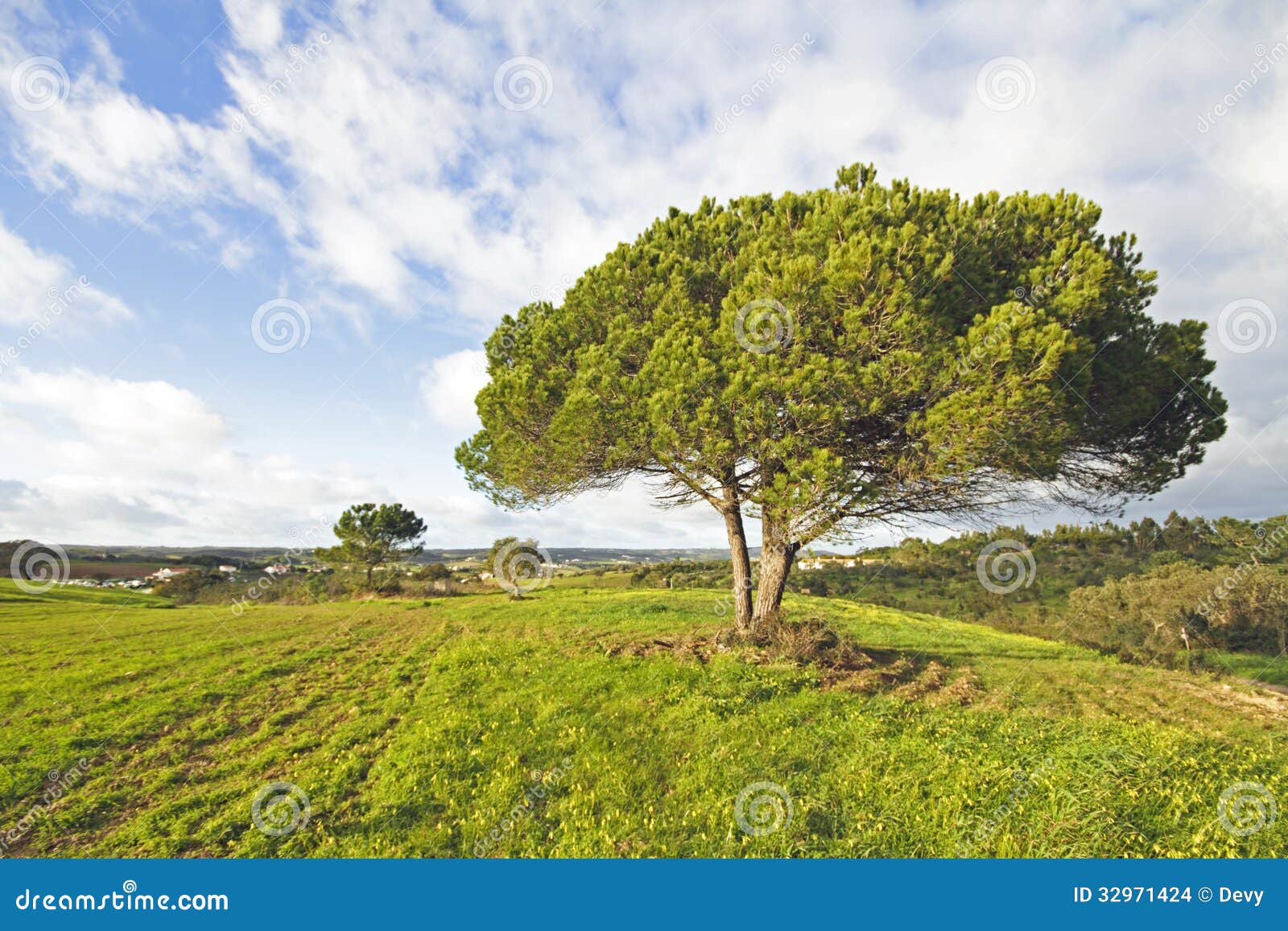 Portuguese Landscape in Spring Stock Photo - Image of land, environment ...
