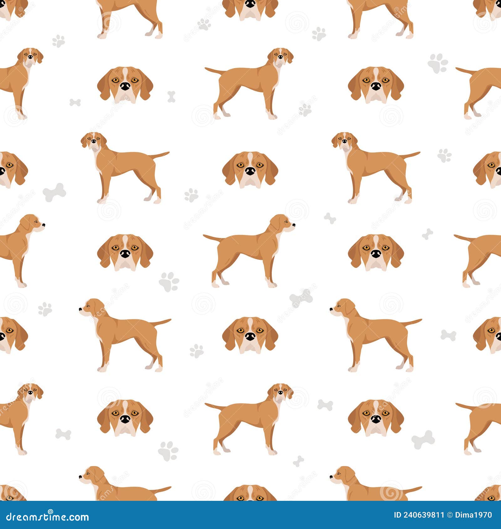 Portuguese Pointer Seamless Pattern. Different Poses, Coat Colors Set ...