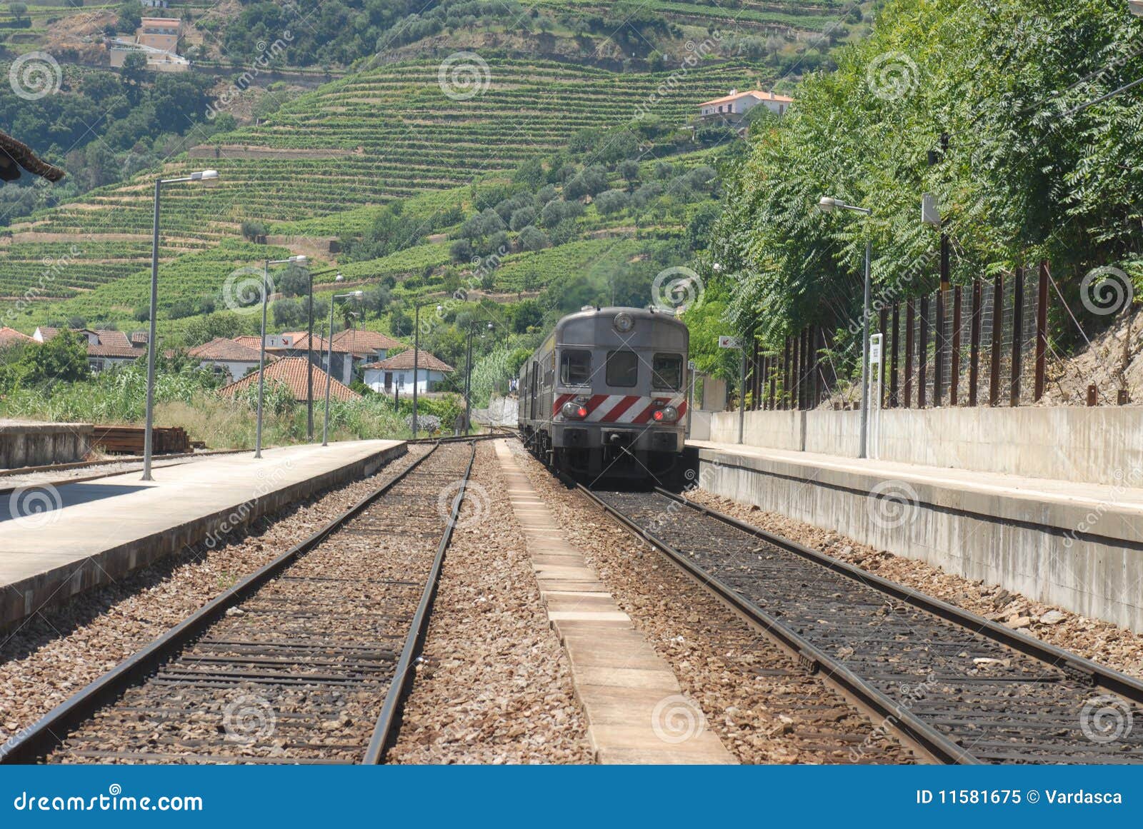 Portuguese train stock image. Image of green, vines, line - 11581675
