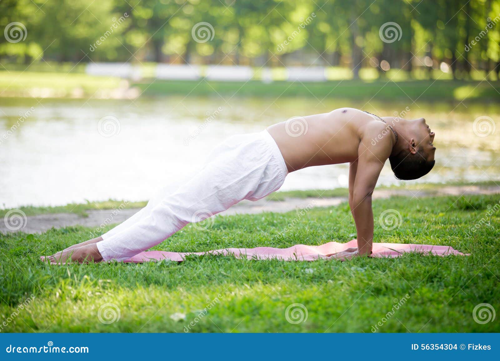 Pose Ascendante De Yoga De Planche Photo stock - Image du activité ...