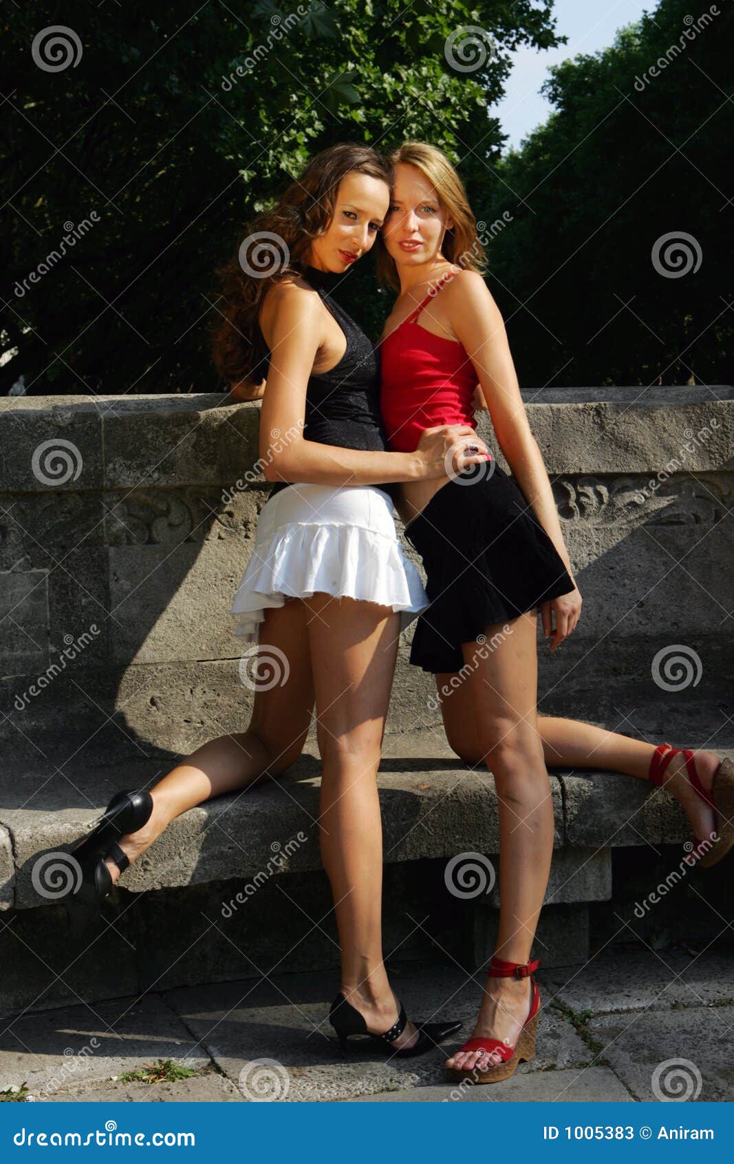 Pose De Deux Filles Image Stock Image Du Paire Adulte 1005383