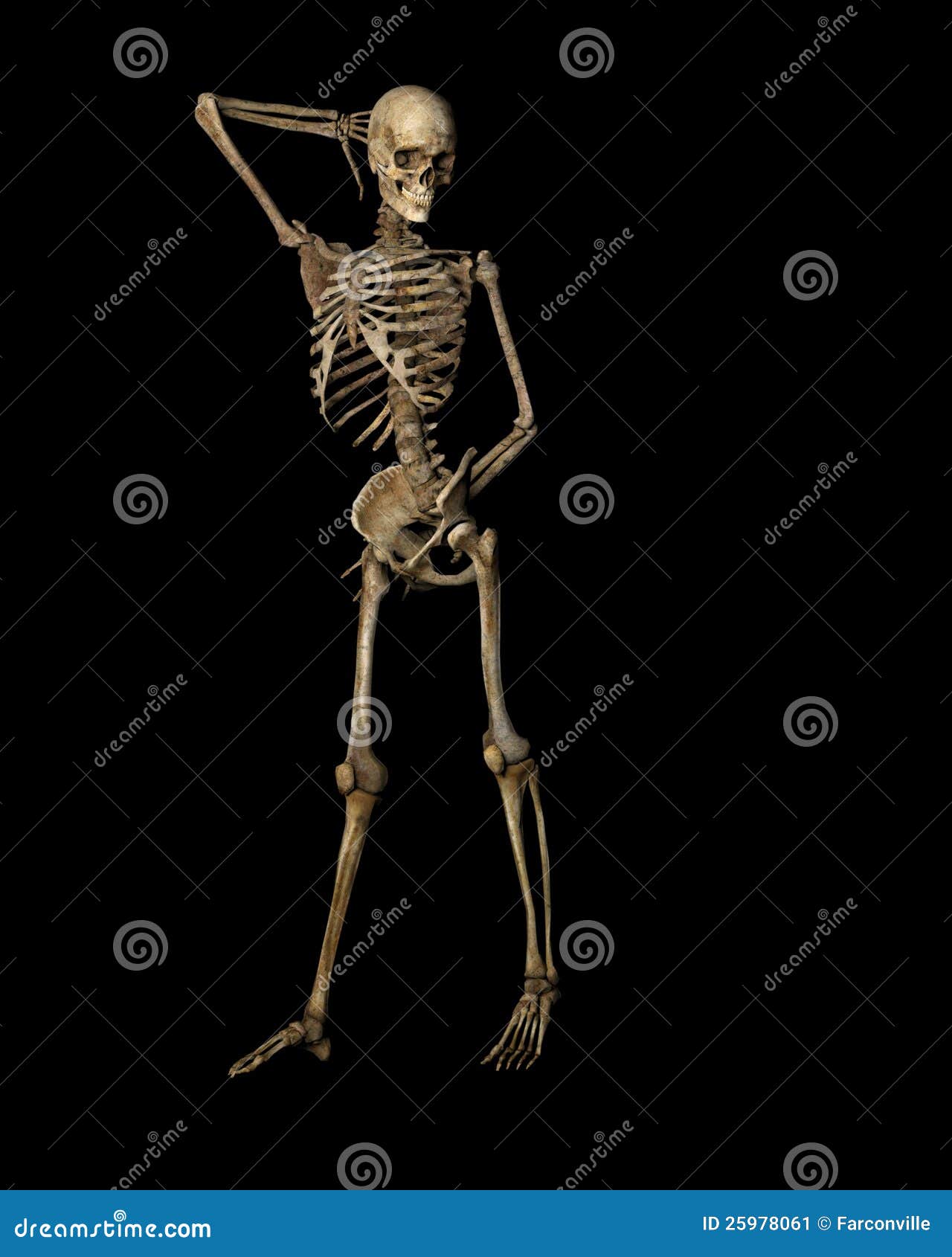 Pose du squelette illustration stock. Illustration du polisson - 25978061