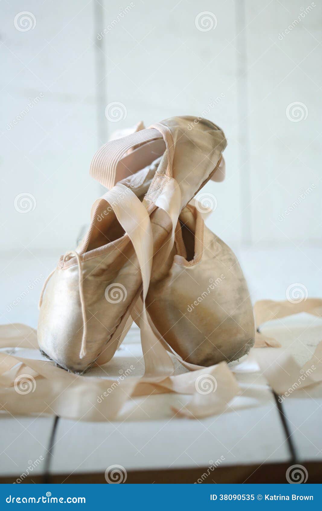 Posed Pointe Shoes in Natural Light Stock Image - Image of elegant ...