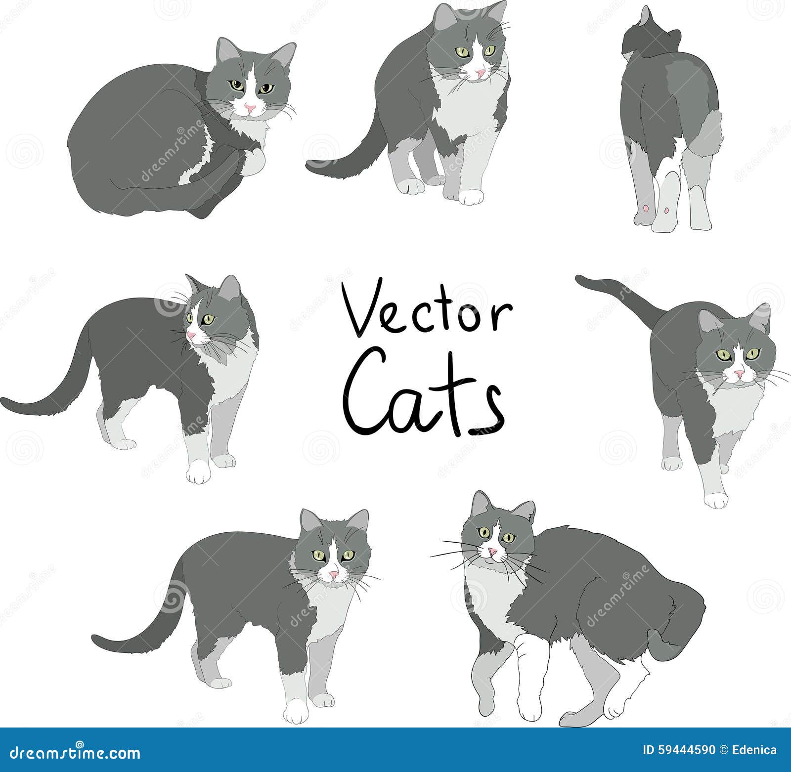 Poses dos gatos ajustadas ilustração do vetor. Ilustração de olho ...