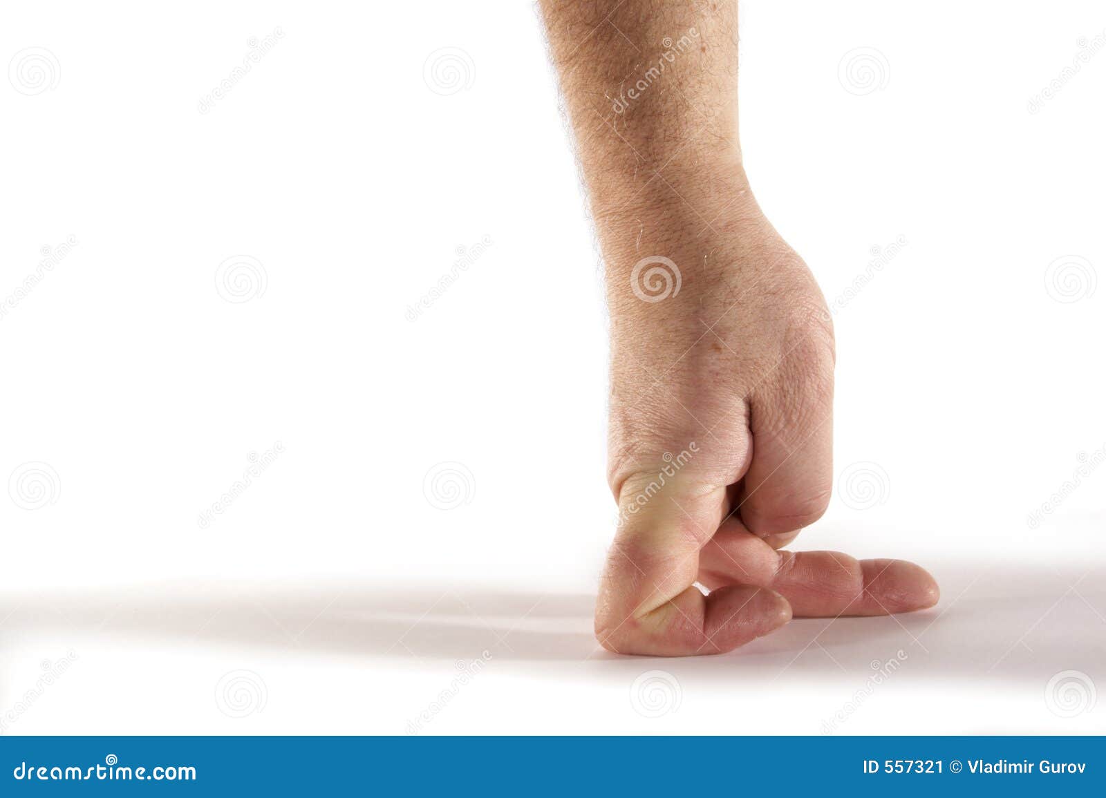 Poses and Natures. Obedience Stock Image - Image of figure, fidget: 557321