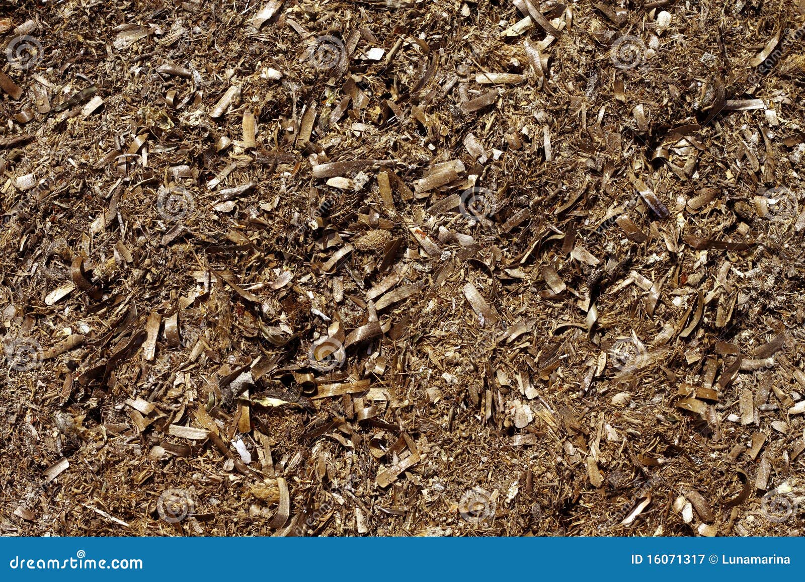 Dried Mud Texture Stock Image | CartoonDealer.com #45105769