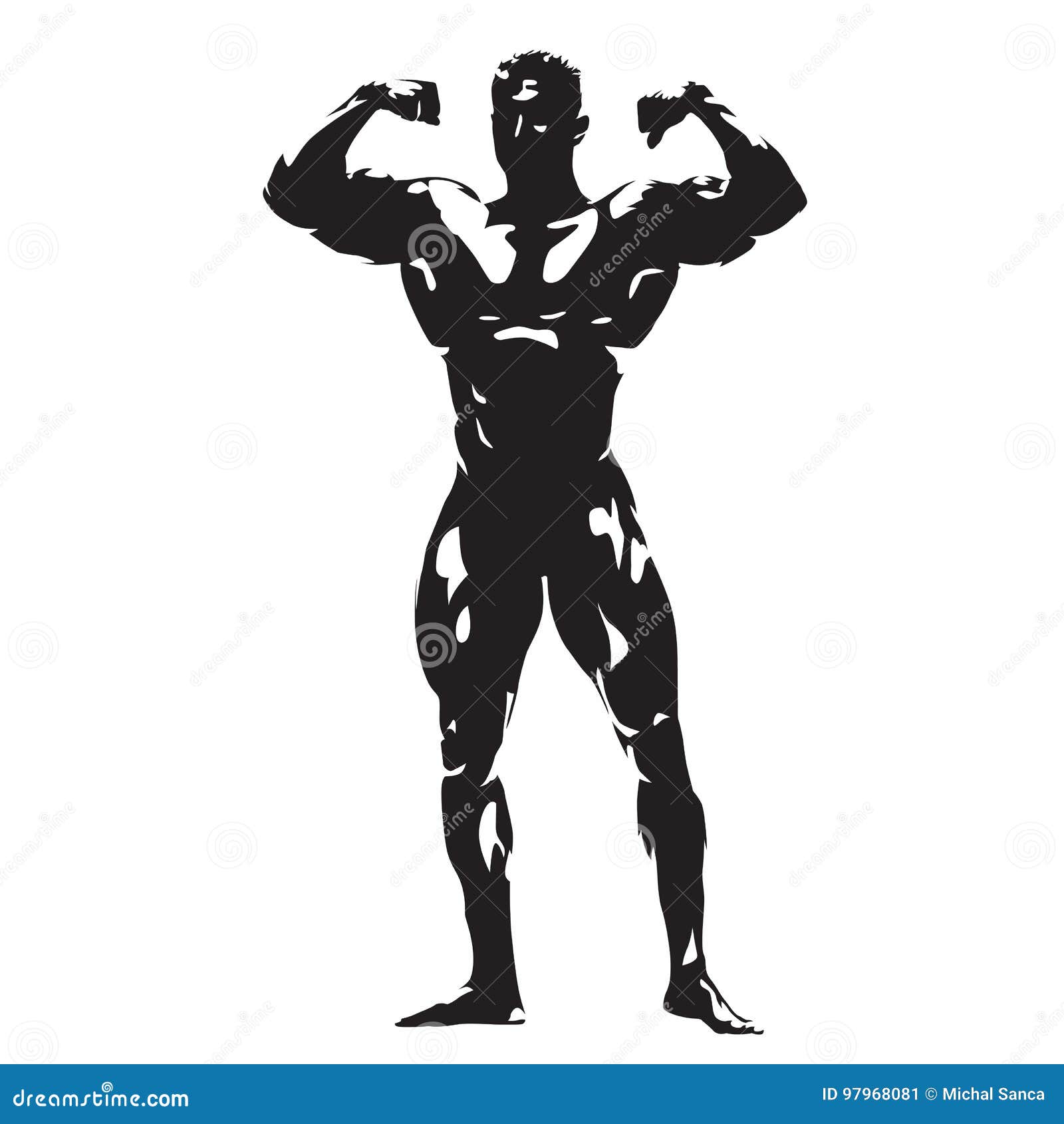 Bodybuilder In Front Double Biceps Pose. Vector Illustration ...
