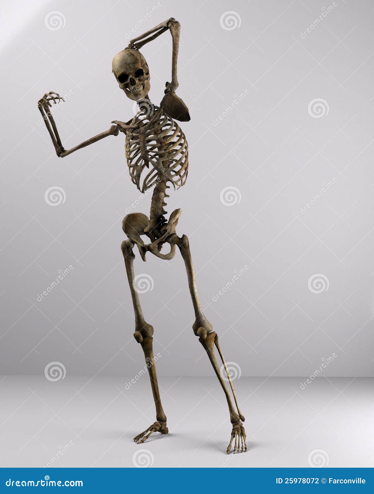 Flying Skeleton Poses