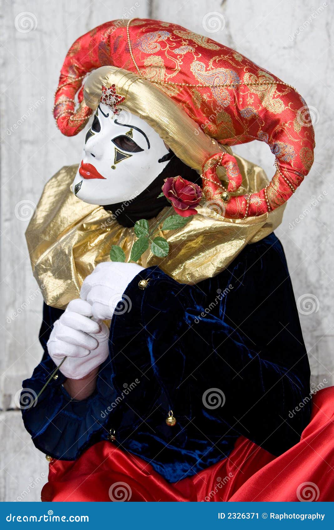 A posing clown stock image. Image of disguise, mask, feather - 2326371