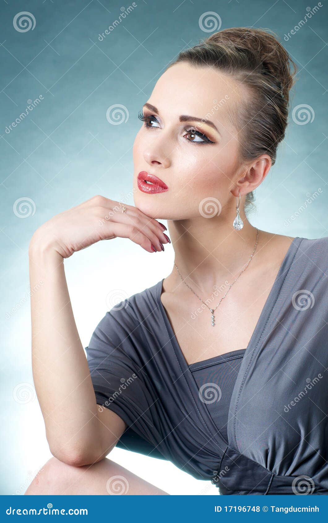 Posing Elegant Woman stock photo. Image of eyes, cosmetics - 17196748