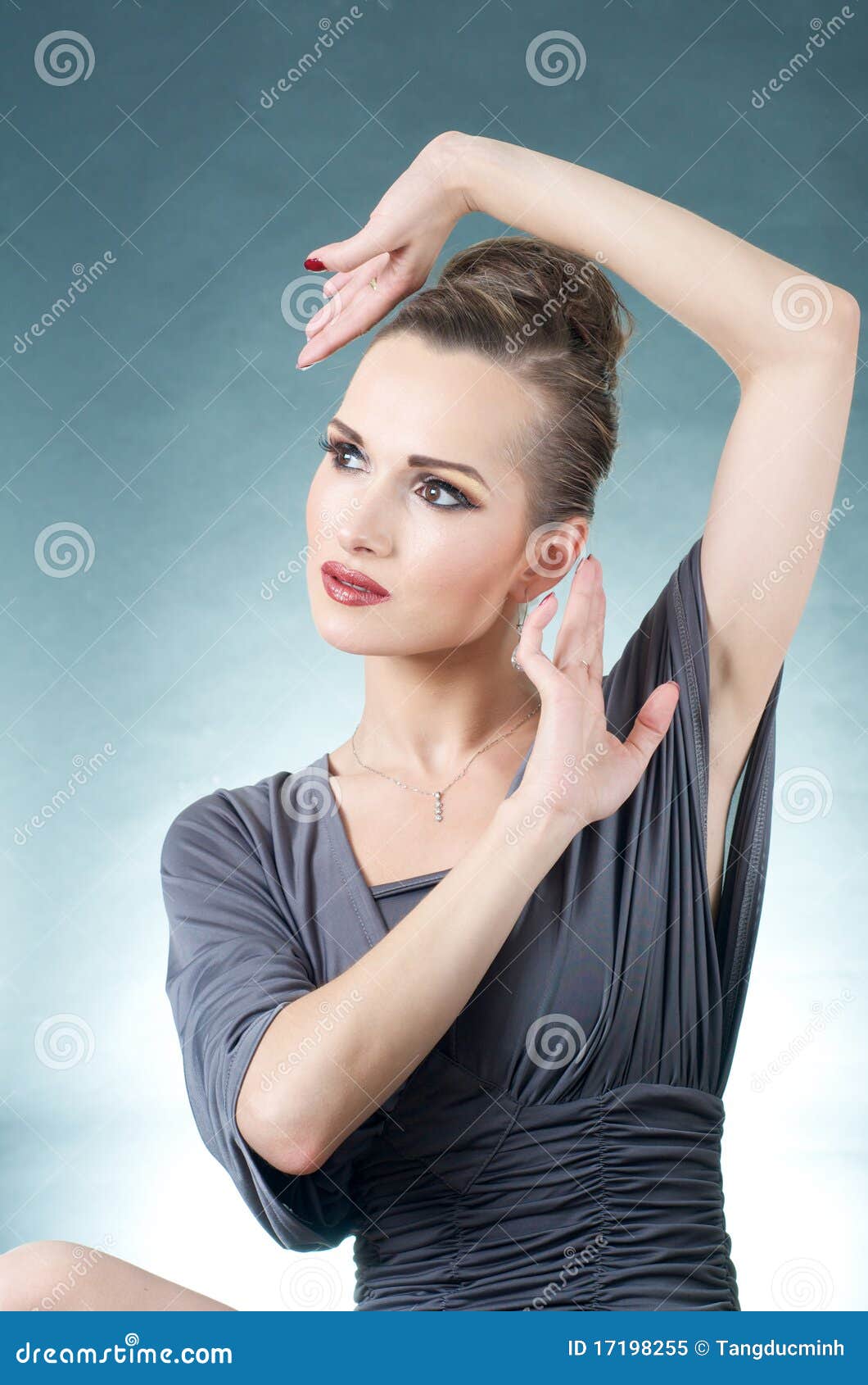 Posing Elegant Woman stock image. Image of model, grey - 17198255