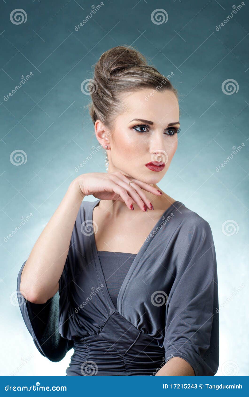 Posing Elegant Woman stock image. Image of model, pose - 17215243