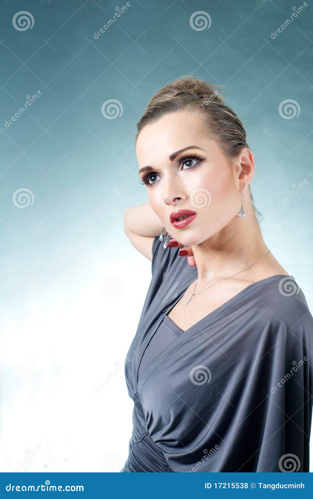 Posing Elegant Woman stock photo. Image of grey, modern - 17215538