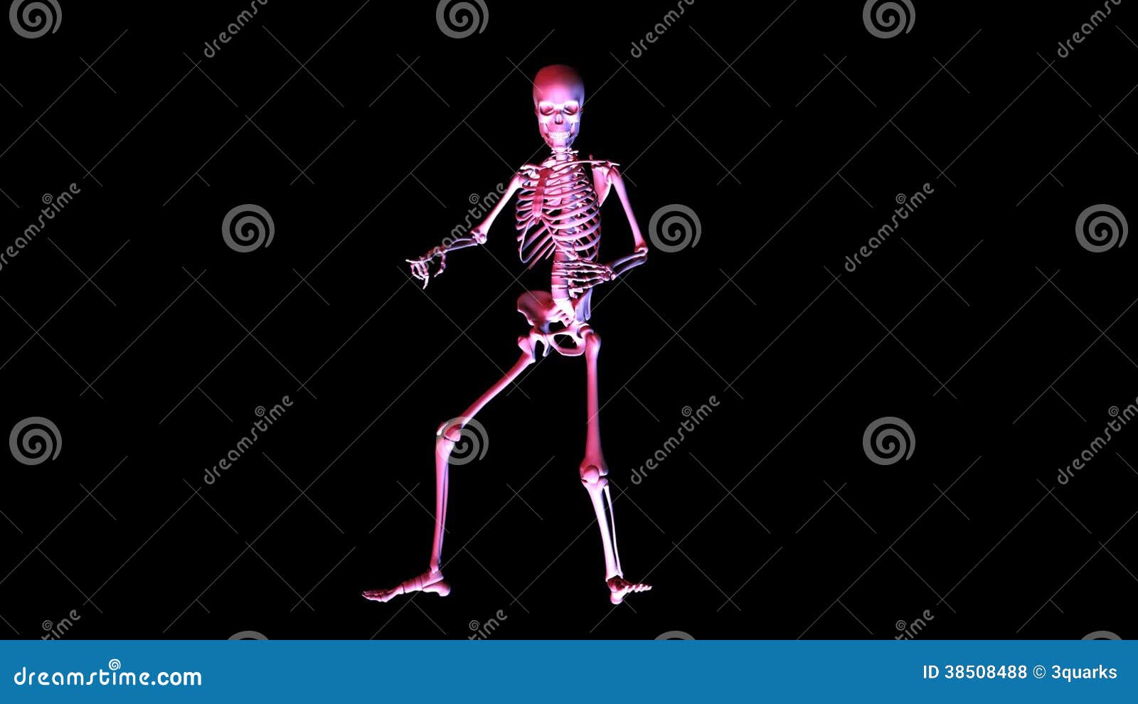 Posing Skeleton Animation stock video footage. Video of macabre - 38508488
