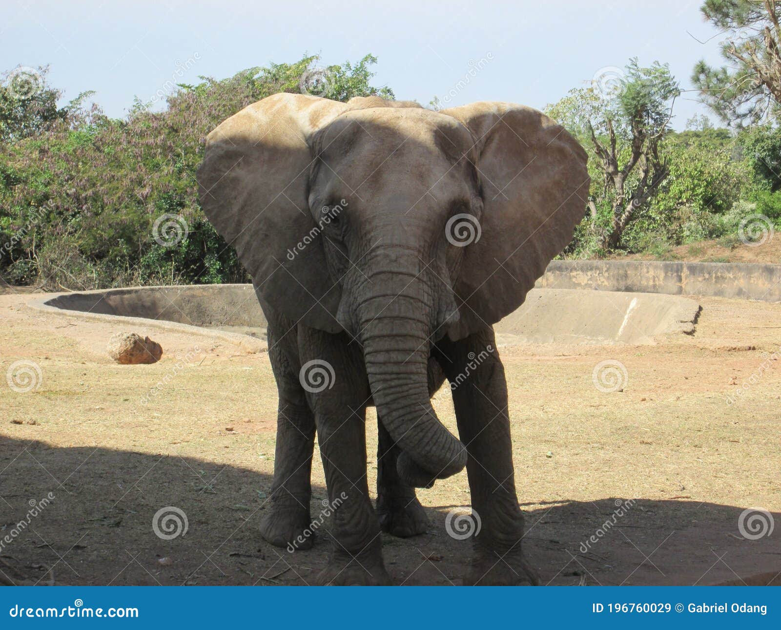 Position Greatness Character Stock Image - Image of adventure, wildlife ...