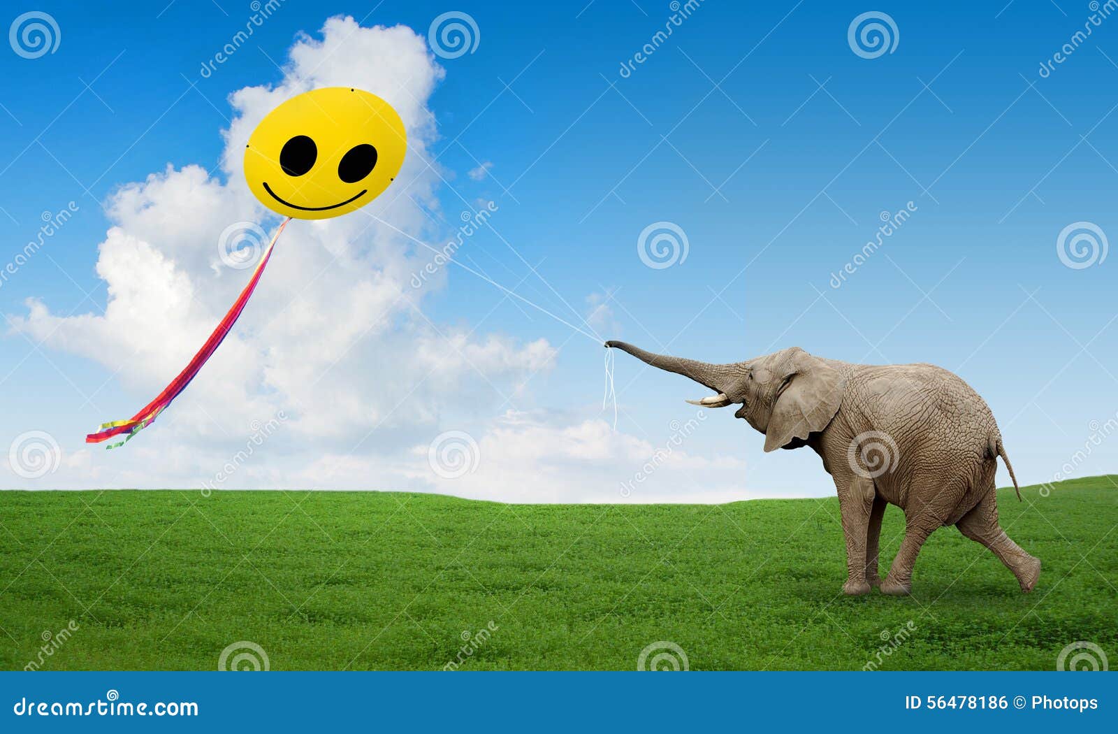 Positive animal. stock illustration. Illustration of botany - 56478186