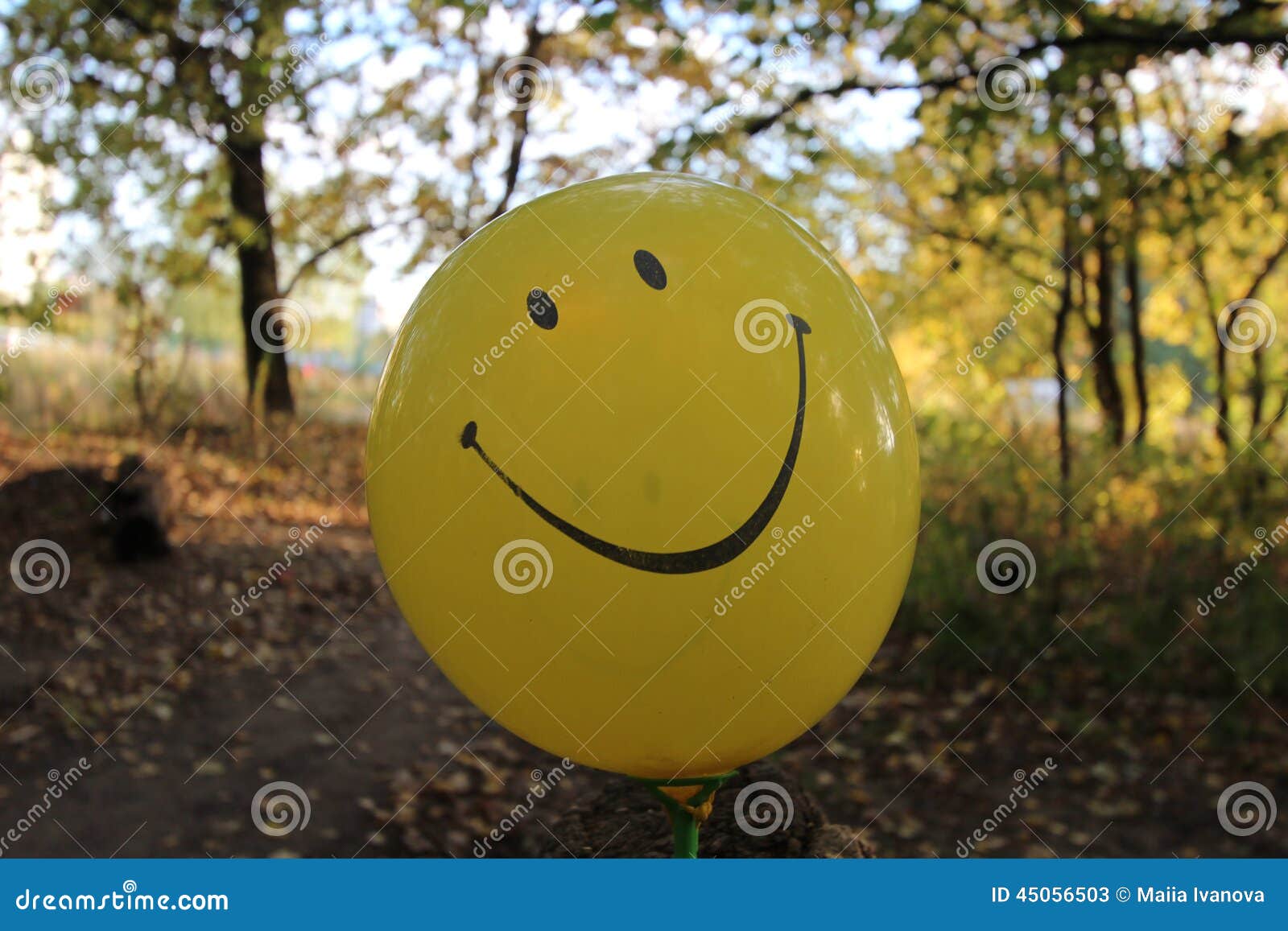 Positive balloon stock image. Image of close, meadow - 45056503