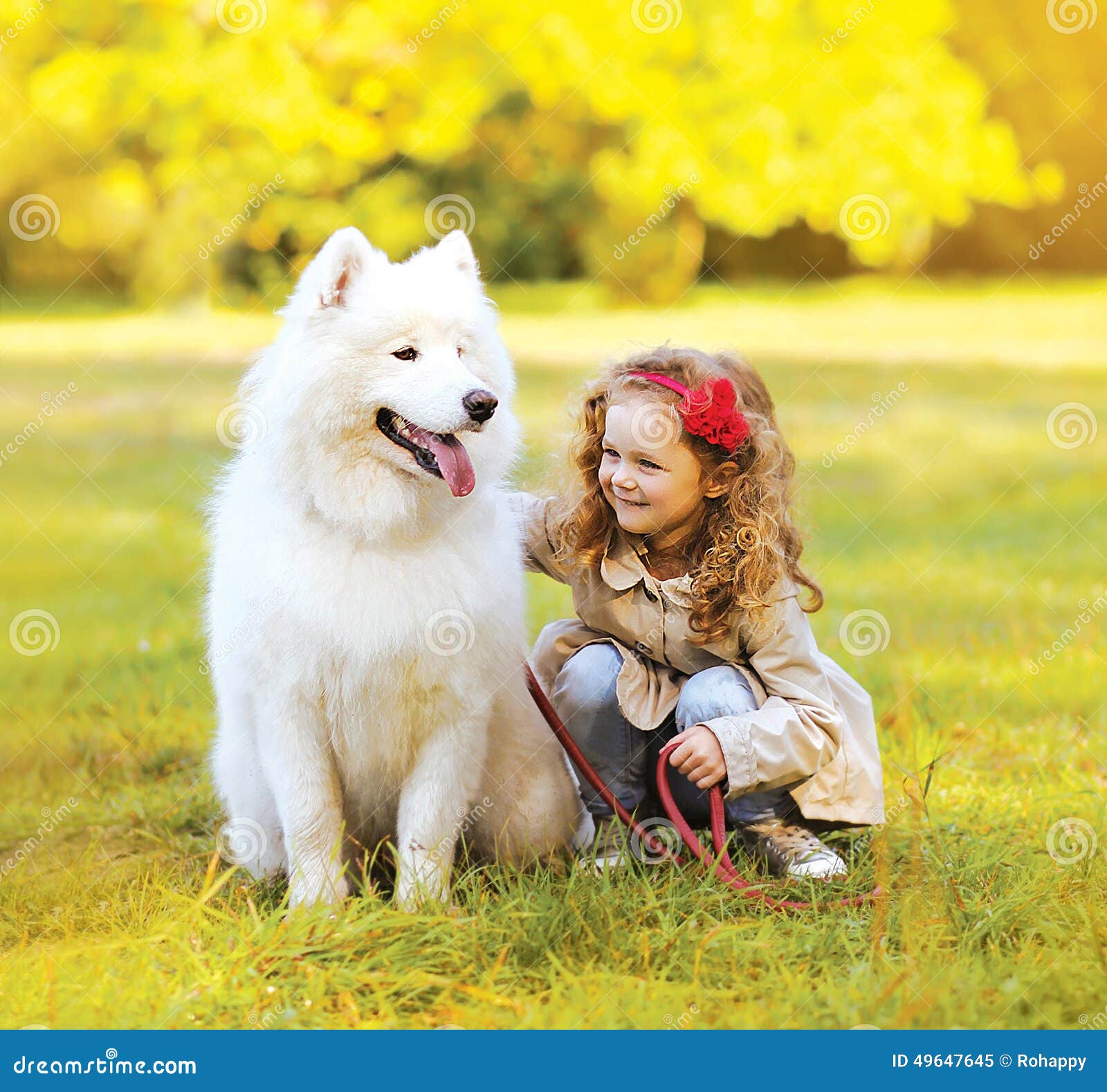 Positive Child and Dog Having Fun Outdoors Stock Image - Image of ...