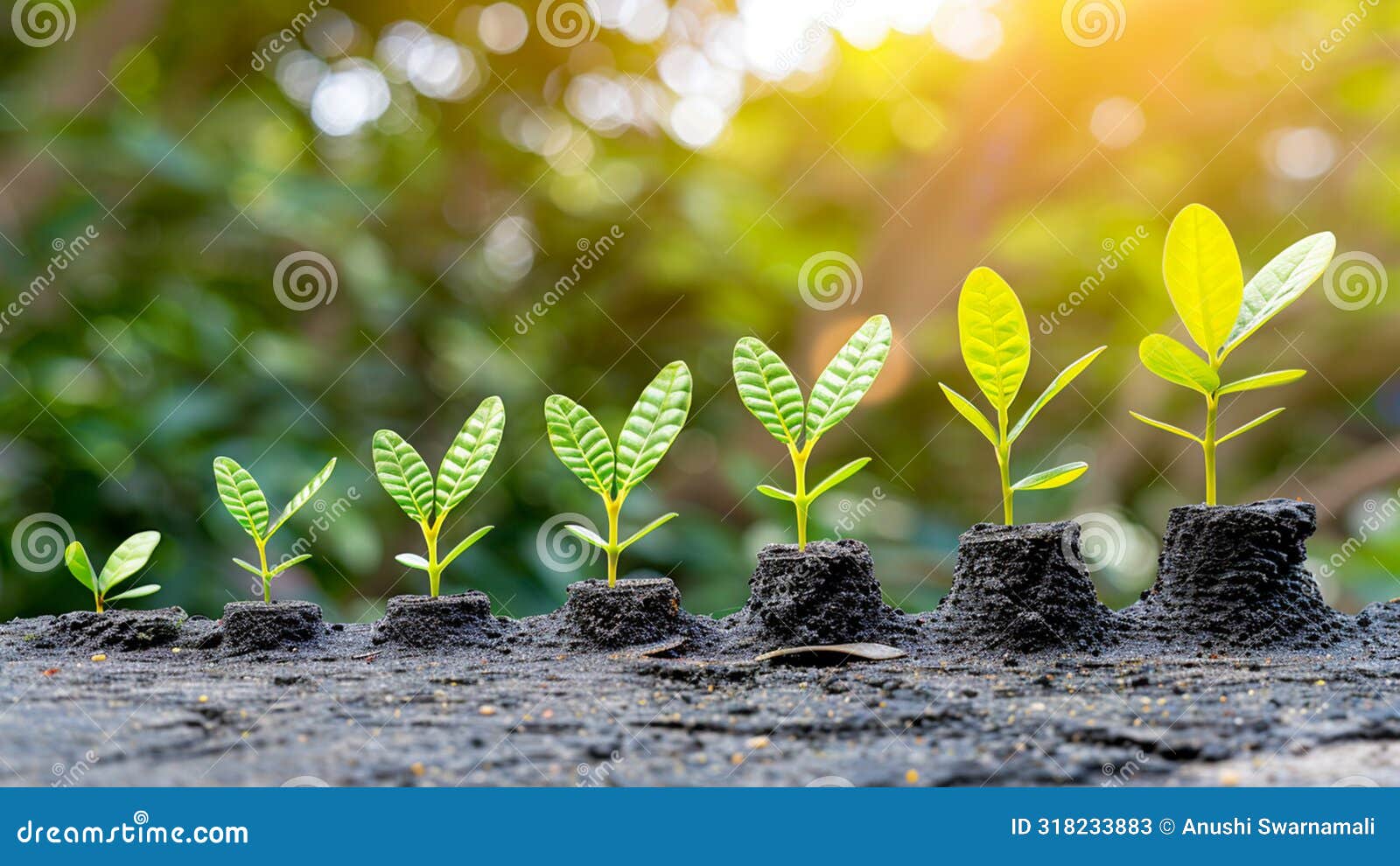 Positive Growth Step by Step Self Development Journey Stock Image ...