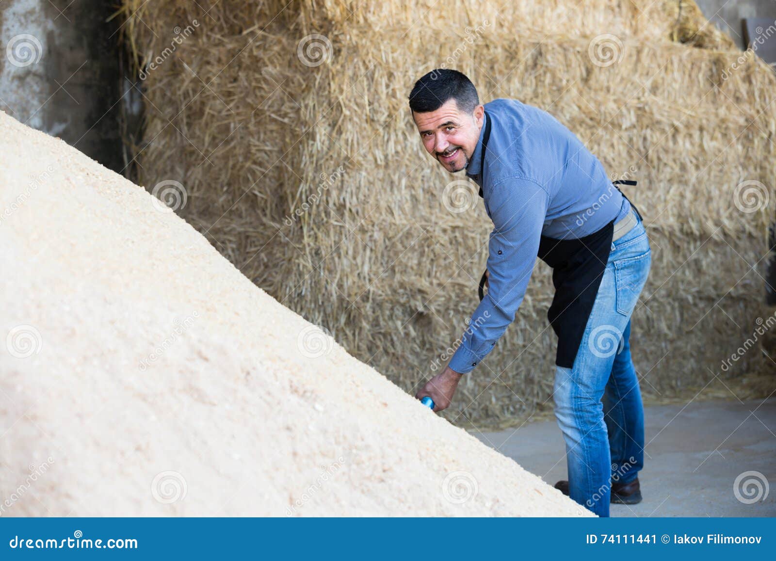 Positive Man Standing with Metallic Spade Stock Image - Image of ...