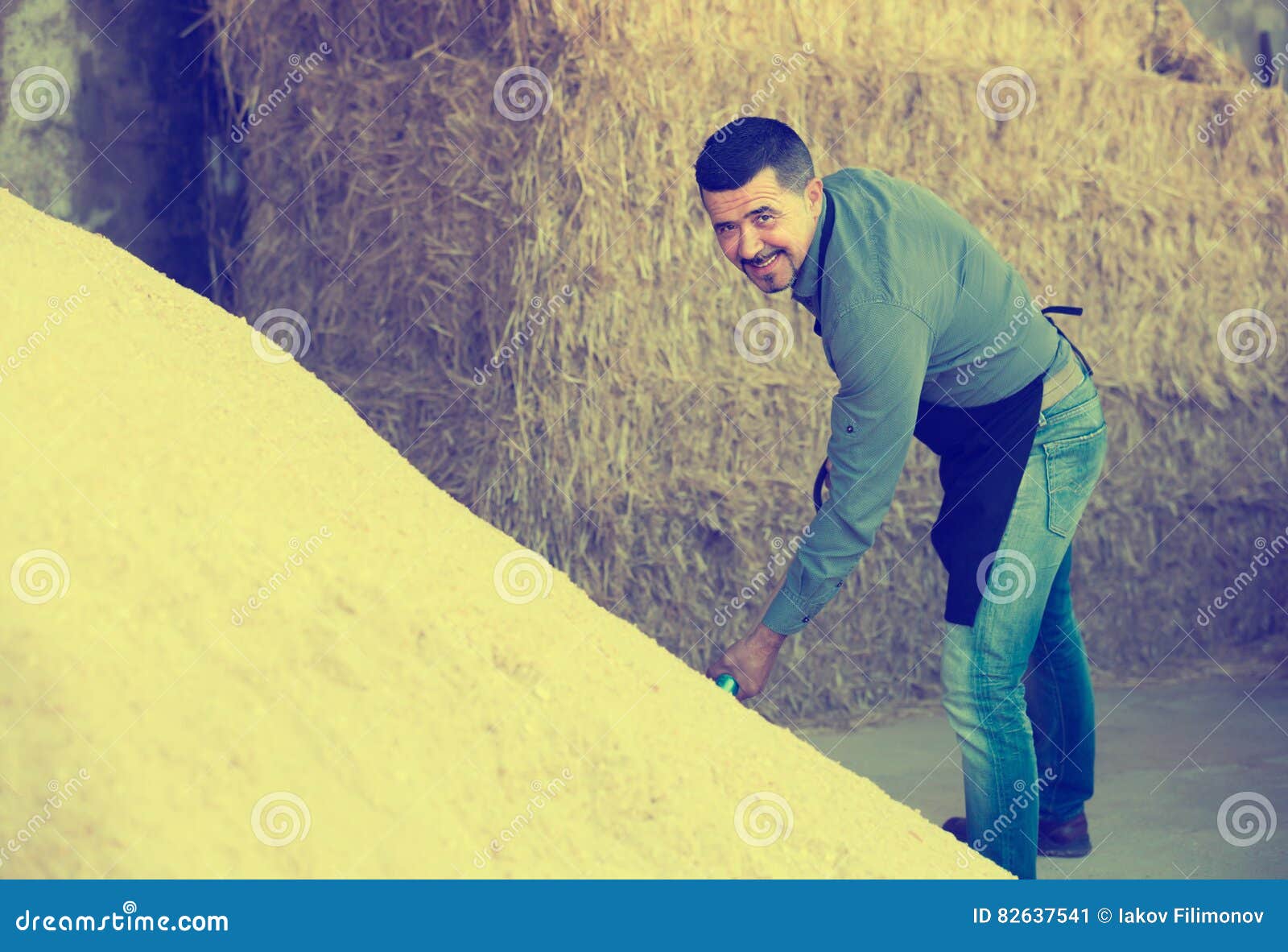 Positive Man Standing with Metallic Spade Stock Image - Image of farmer ...