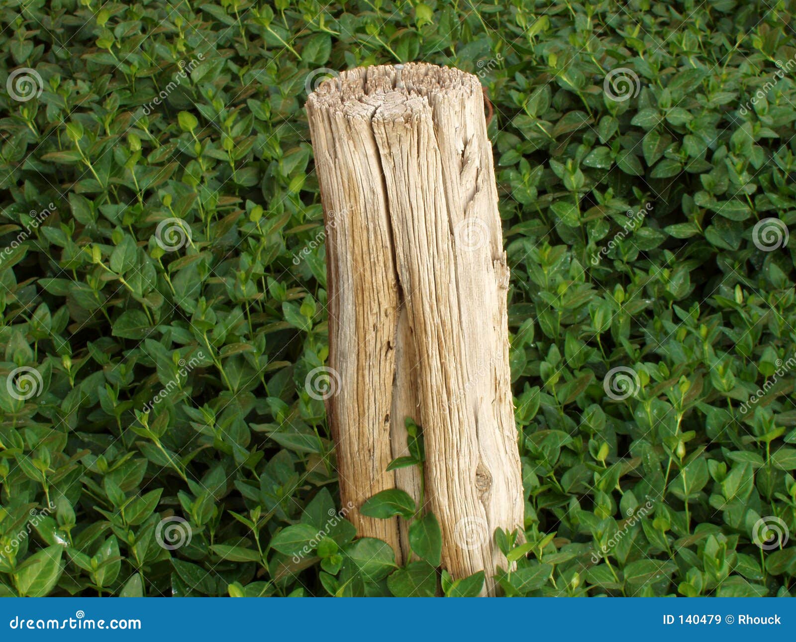 Post stock image. Image of post, garden, outdoors, plants - 140479