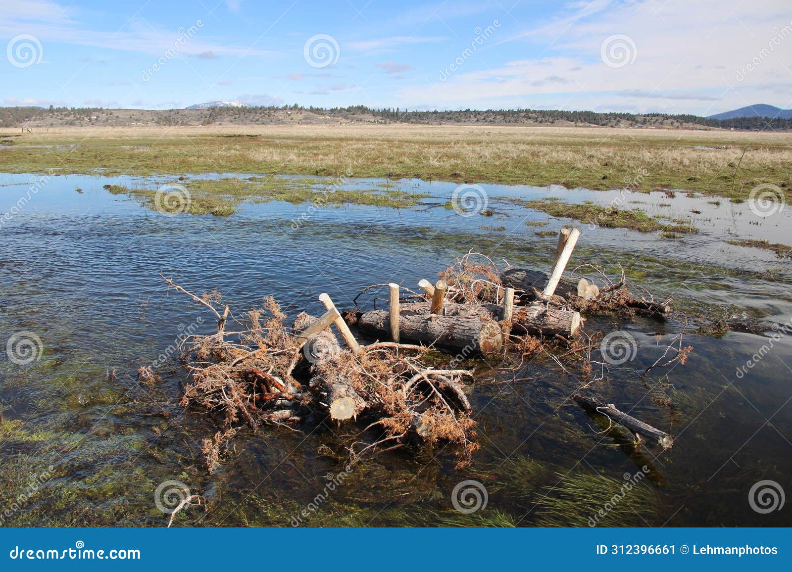 Post Assisted Log Structures on a Valley Stream Stock Image - Image of ...