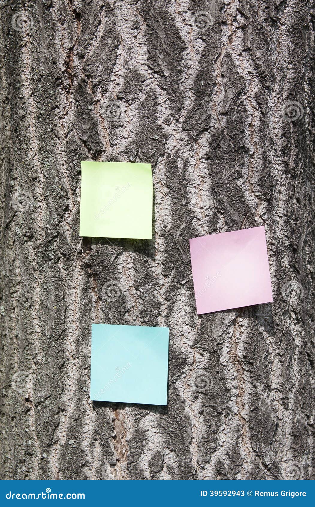 Post it on Bark Tree - RAW Format Stock Image - Image of empty ...