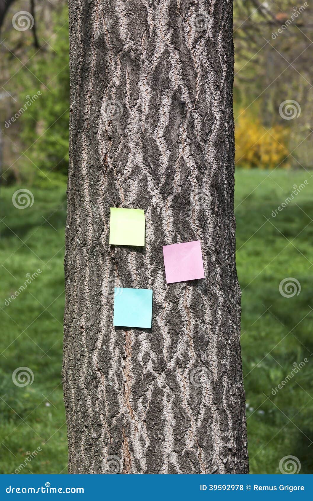 Post it on bark tree stock photo. Image of tree, attach - 39592978