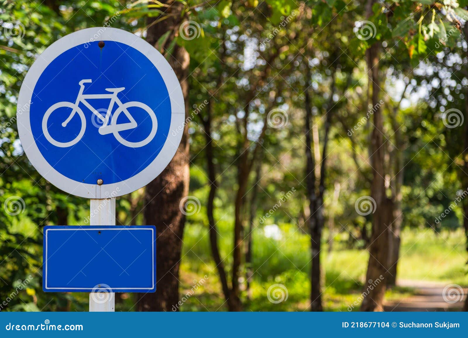 Post of Bicycle sign stock photo. Image of road, bicycle - 218677104