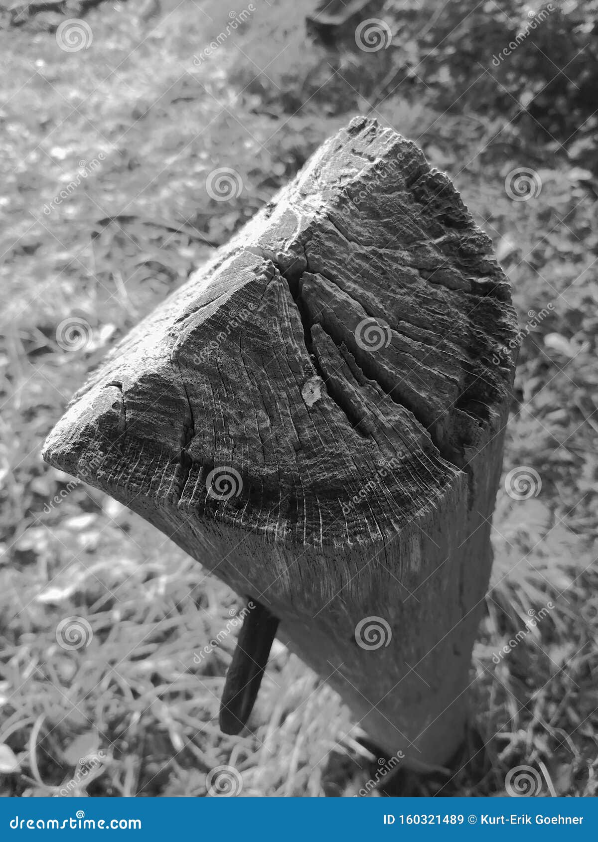 Post in black and white stock image. Image of post, autumn - 160321489