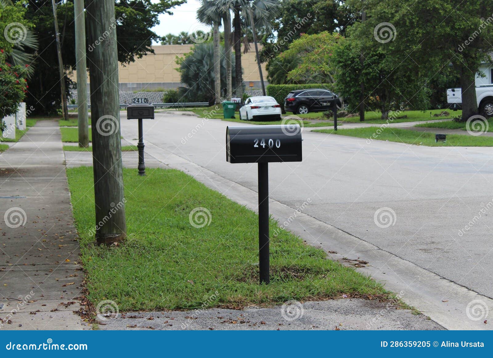 Post box stock image. Image of tree, traffic, street - 286359205