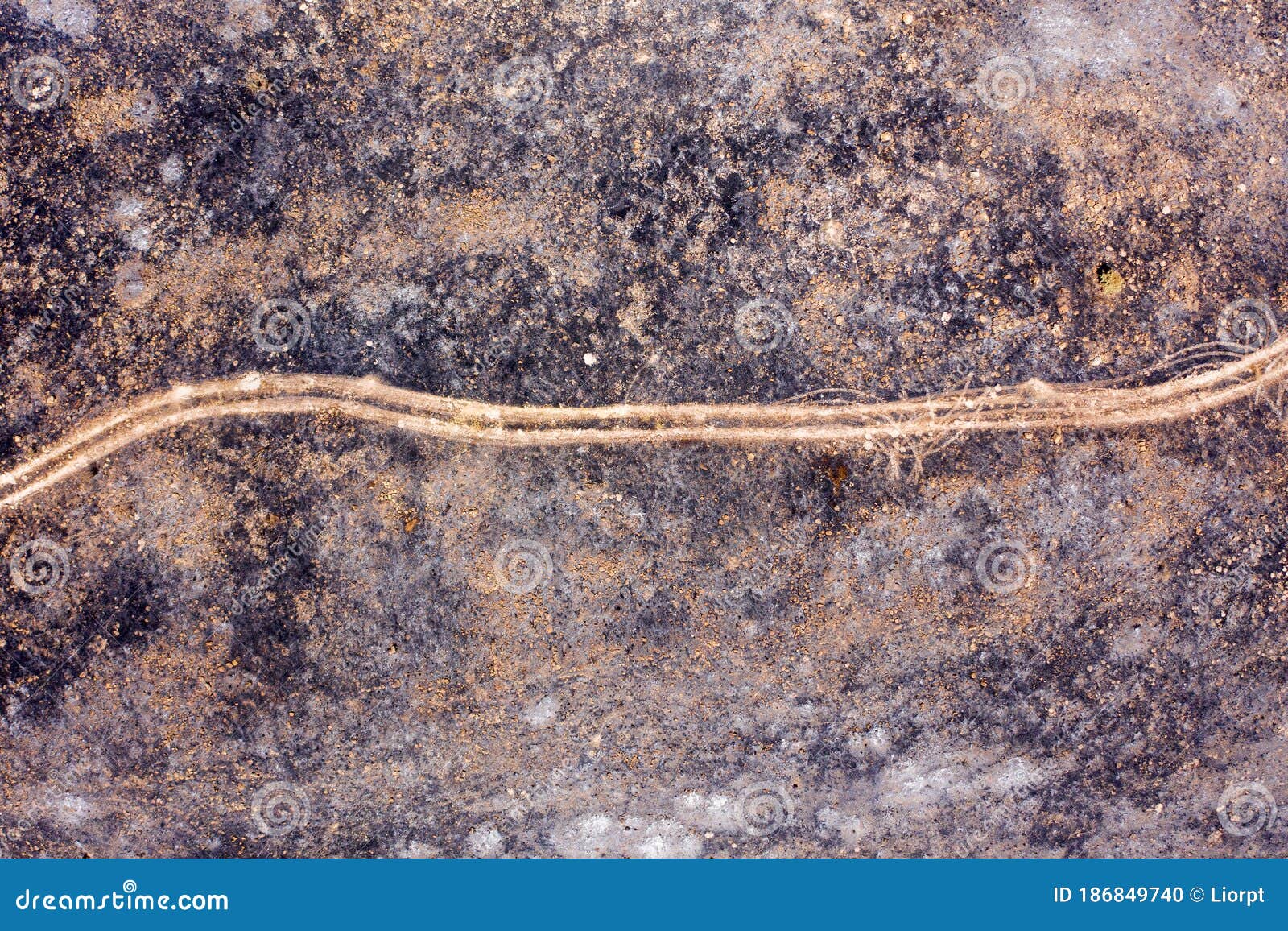Post Forest Fire Scorched Land and Trail Crossing. Stock Photo - Image ...