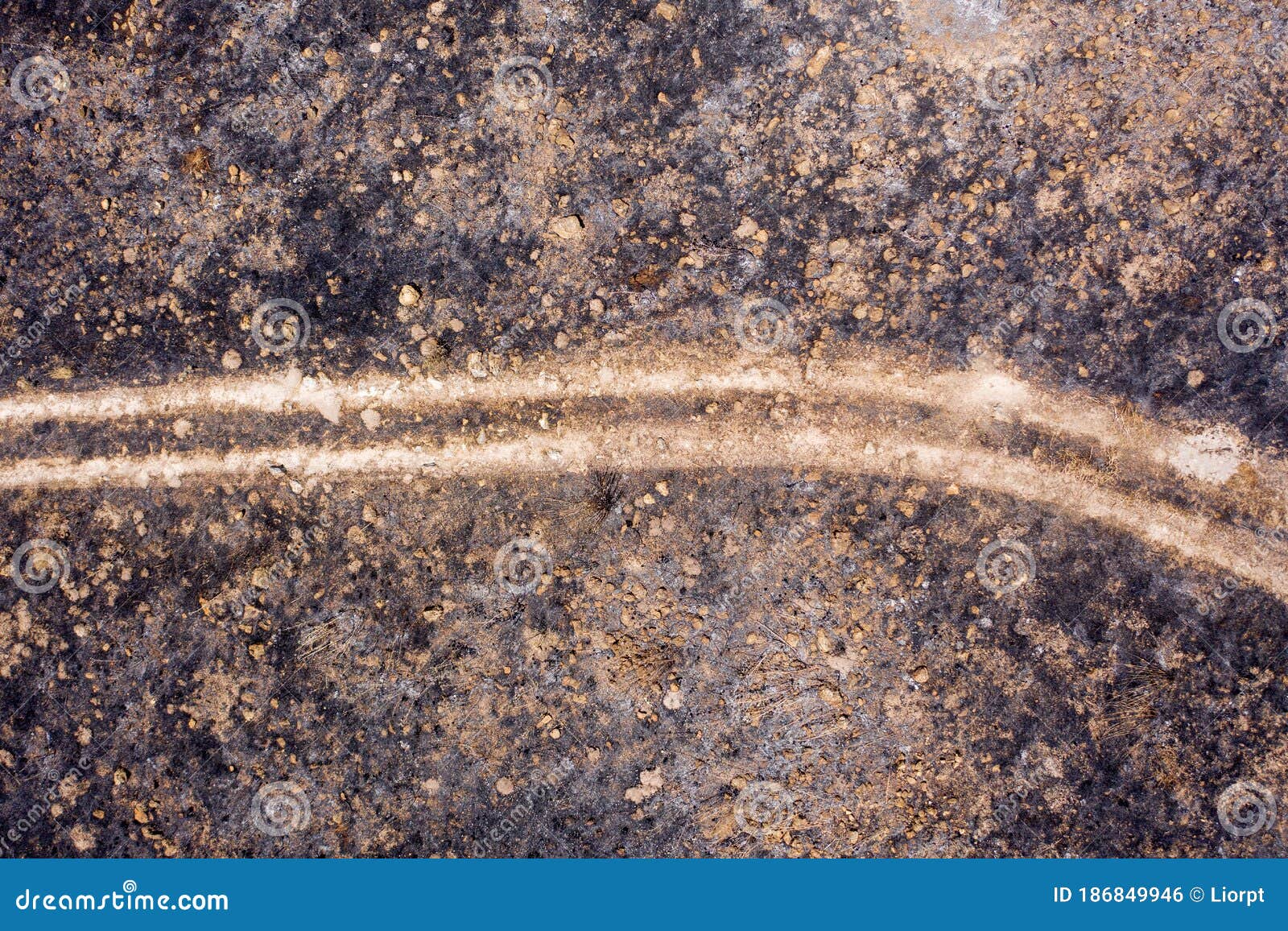 Post Forest Fire Scorched Land and Trail Crossing. Stock Photo - Image ...