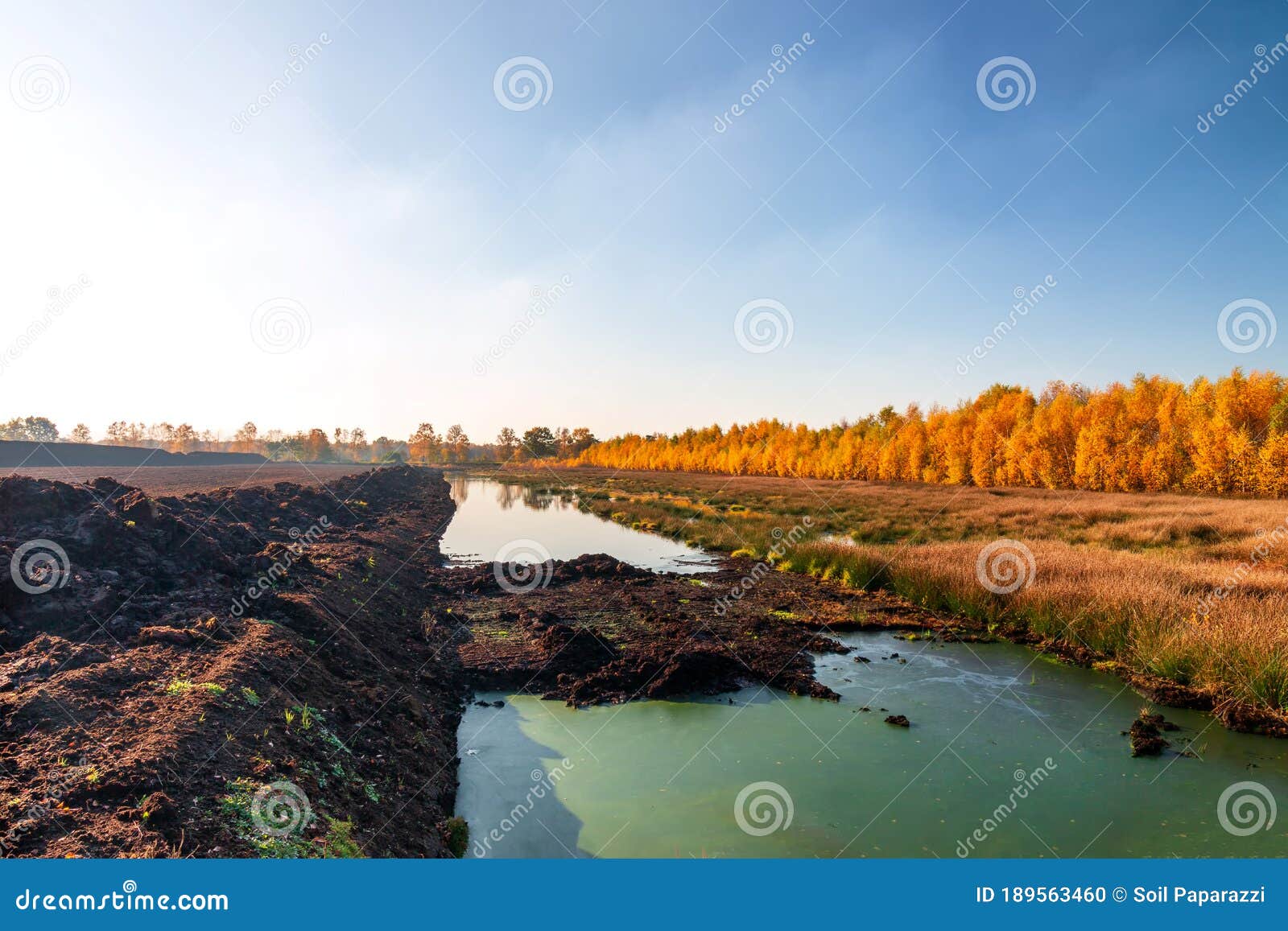 Post Mining Land at a Peat Excavation Site in Northwestern Germany ...