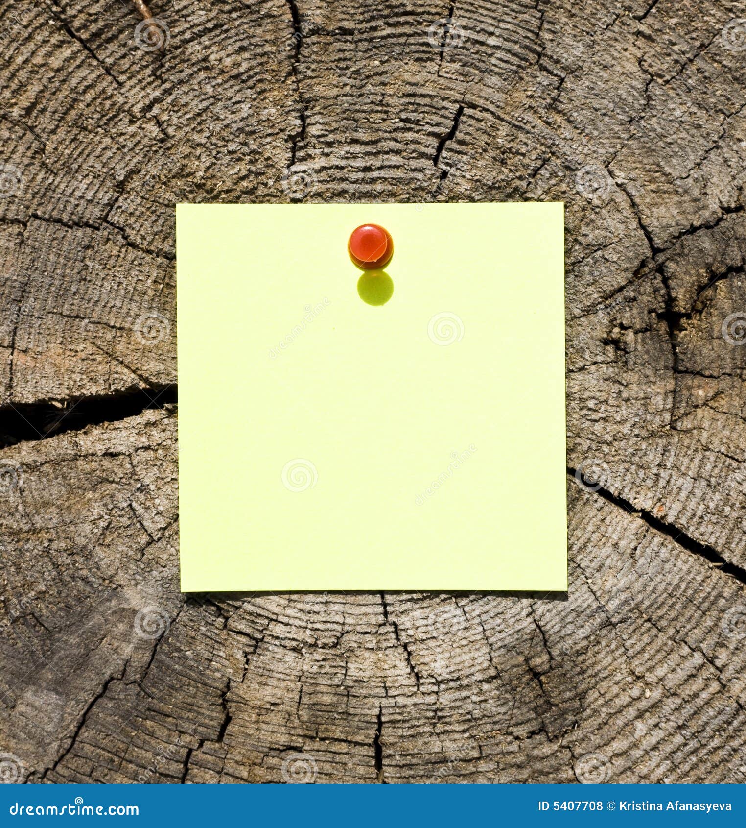 Post-it note on tree trunk stock photo. Image of post - 5407708