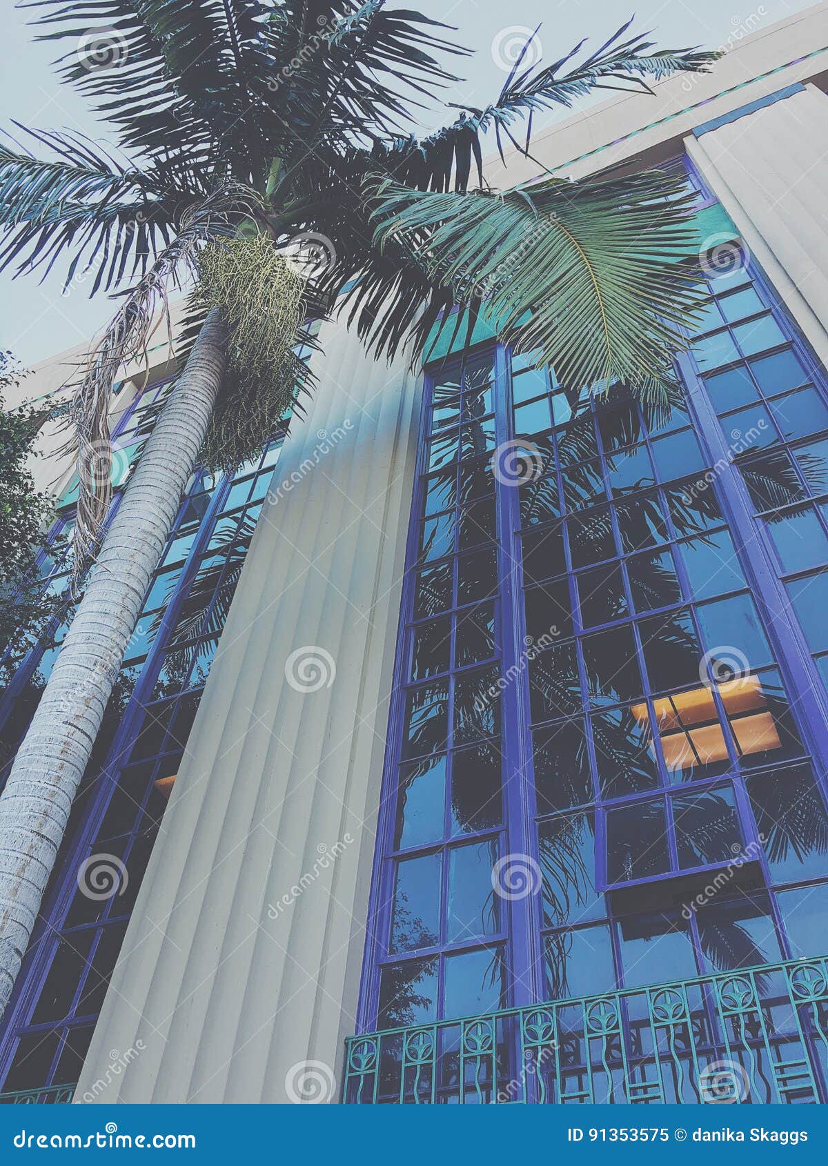Post office and palm tree stock image. Image of post - 91353575
