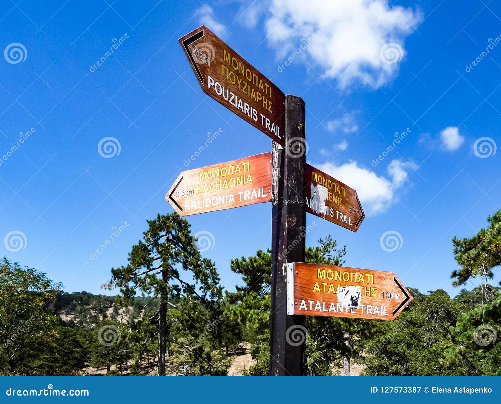 Post with pointers stock image. Image of bush, pointer - 127573387