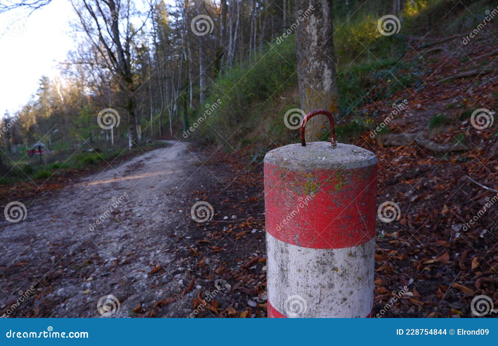 Post Rojo Y Blanco En El Bosque Foto de archivo - Imagen de tapa, rural ...