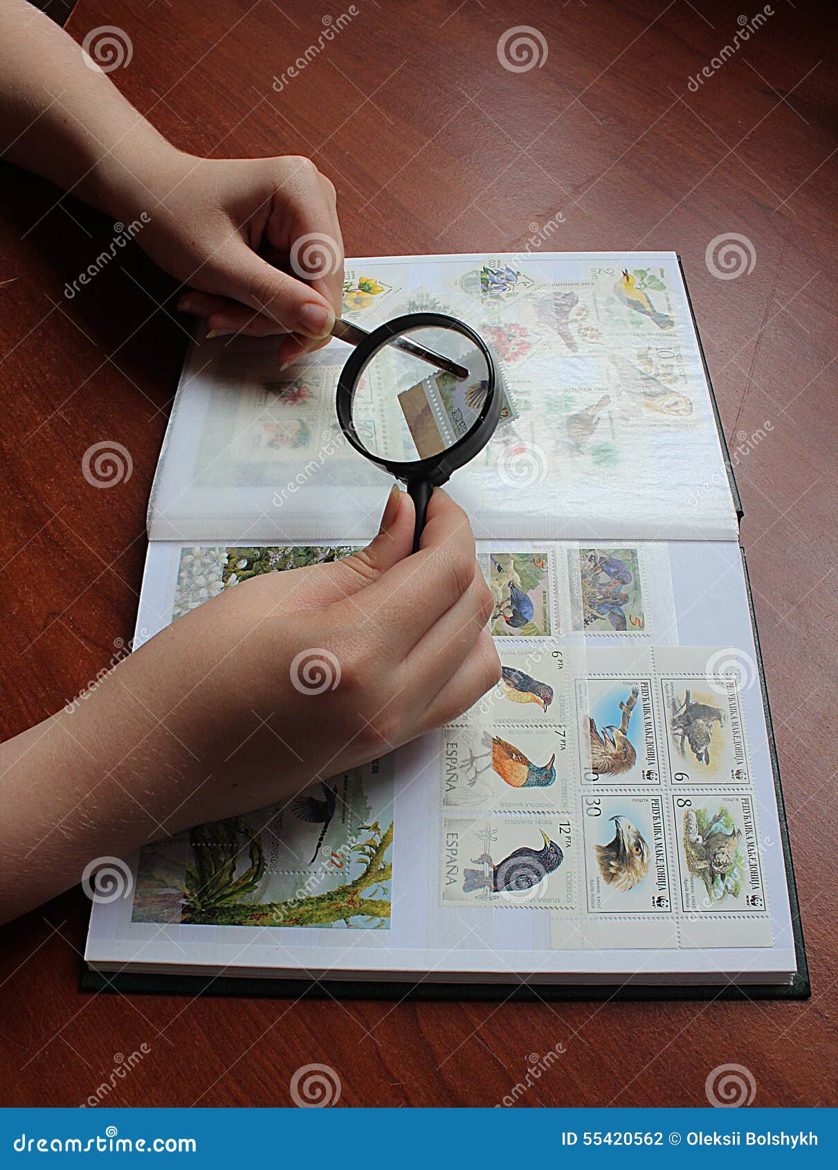 Post stamp collecting editorial photography. Image of hobby - 55420562