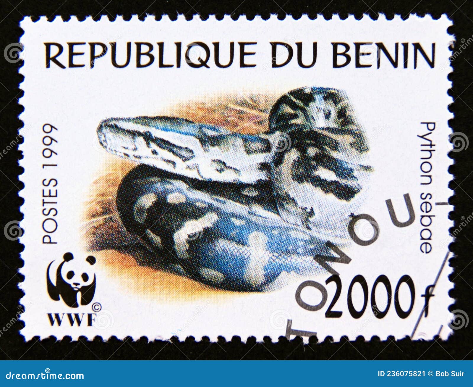 Postage Stamp Benin 1999. Ball Phyton Python Regius Snake Editorial ...